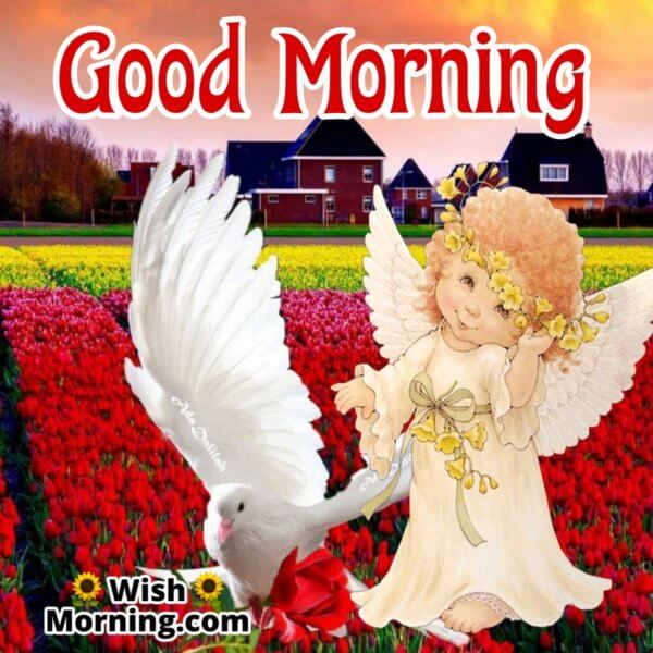 Good Morning Angel Images to Start Your Day with Blessings - Wish Morning