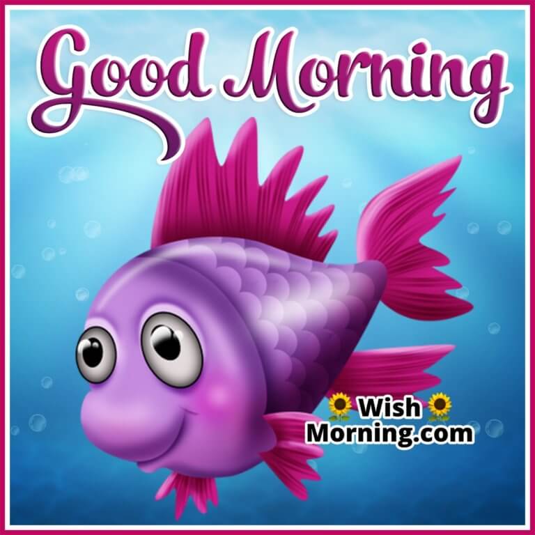 Good Morning Fish Images for a Cheerful Start to the Day - Wish Morning