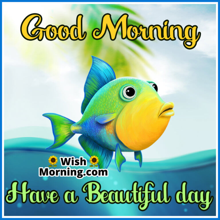 Good Morning Fish Images for a Cheerful Start to the Day - Wish Morning