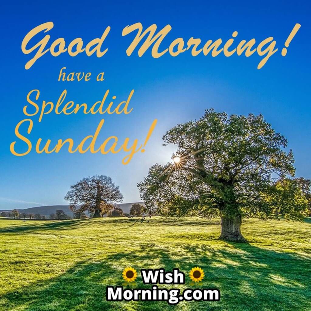 Sunday Morning Wishes for a Peaceful and Joyful Day - Wish Morning