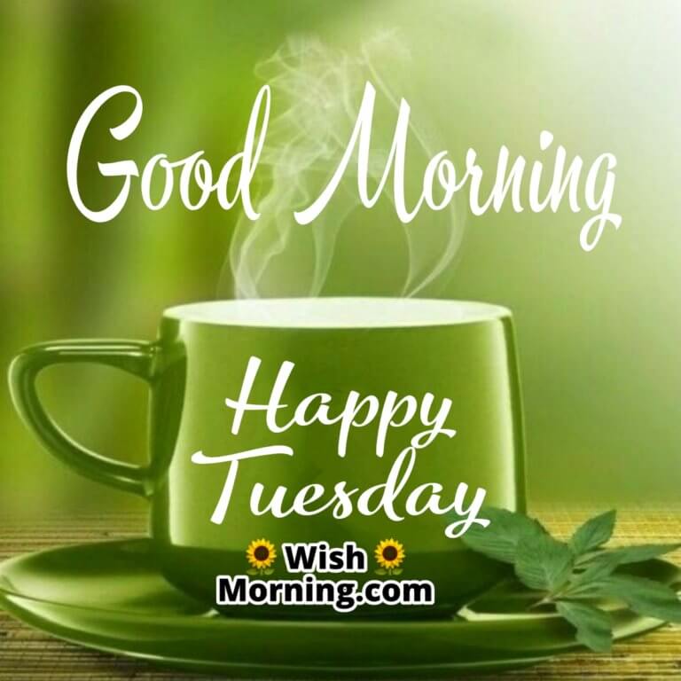Tuesday Morning Wishes to Brighten Your Day with Positivity - Wish Morning