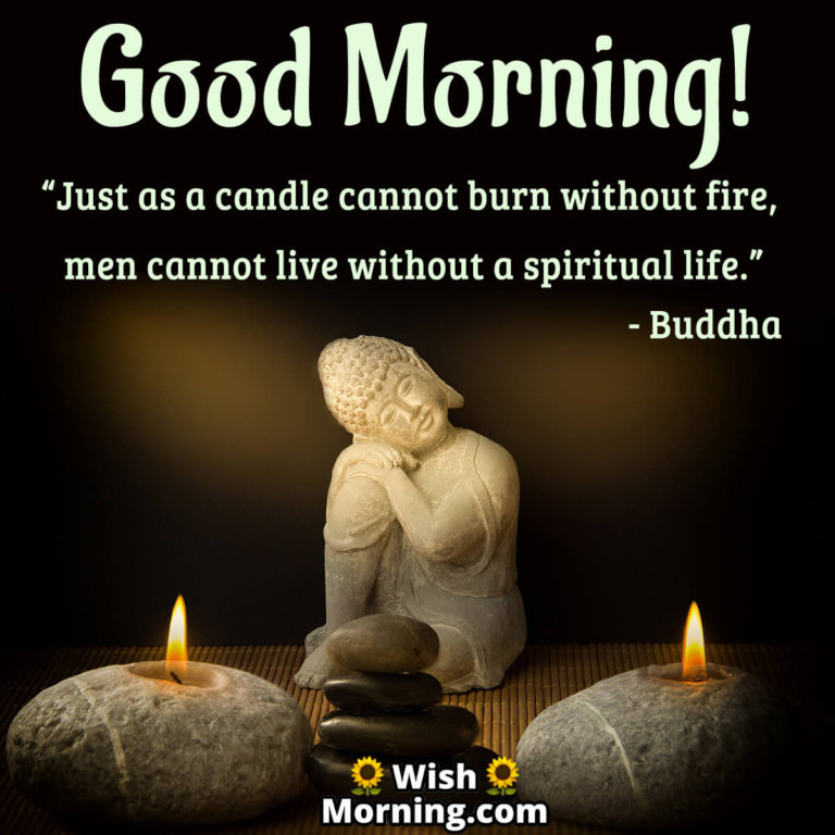 Awaken the Day with Buddha Quotes for a Mindful Morning - Wish Morning