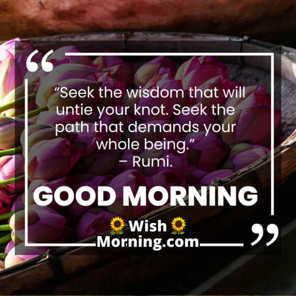 Good Morning Rumi Quotes for Wisdom and Inspiration - Wish Morning
