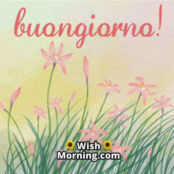 Good Morning Italian Wishes to Brighten Your Day - Wish Morning