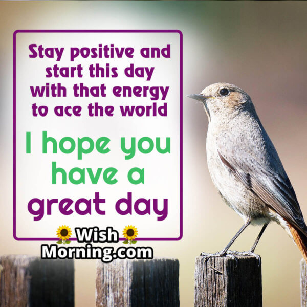 Great Day Wishes for Joy and Positivity in Every Moment - Wish Morning