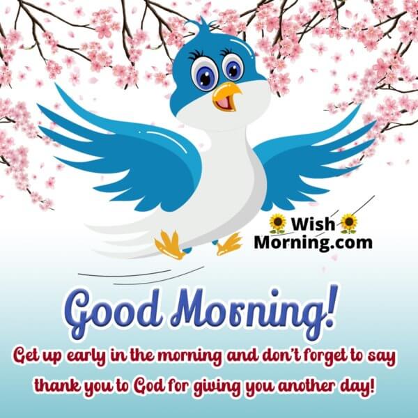 Beautiful Good Morning Messages to Brighten Day - Wish Morning