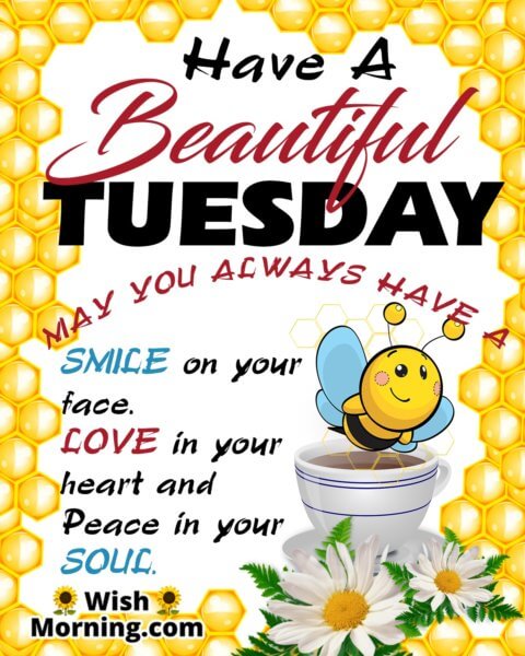Best Tuesday Morning Quotes & Wishes - Wish Morning