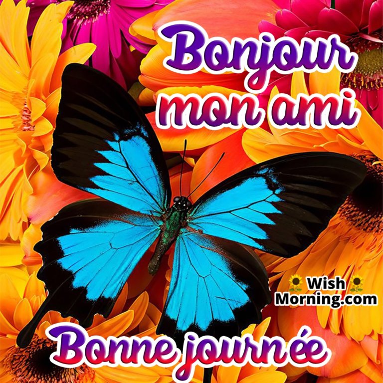 Good Morning French Images to Start Your Day with Joy - Wish Morning