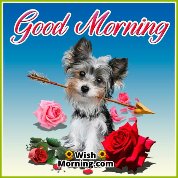 Good Morning Dog Images for a Joyful Start - Wish Morning