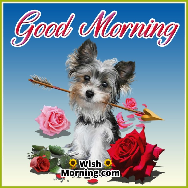 Good Morning Dog Images for a Joyful Start - Wish Morning