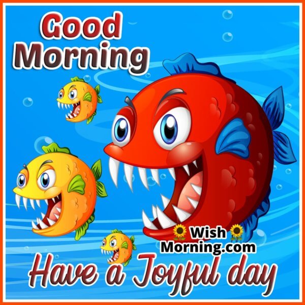 Good Morning Fish Images for a Cheerful Start to the Day - Wish Morning