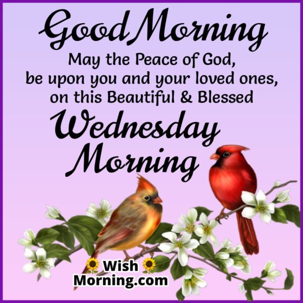 Wednesday Morning Wishes to Energize Your Midweek - Wish Morning