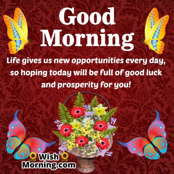 Beautiful Good Morning Messages to Brighten Day - Wish Morning