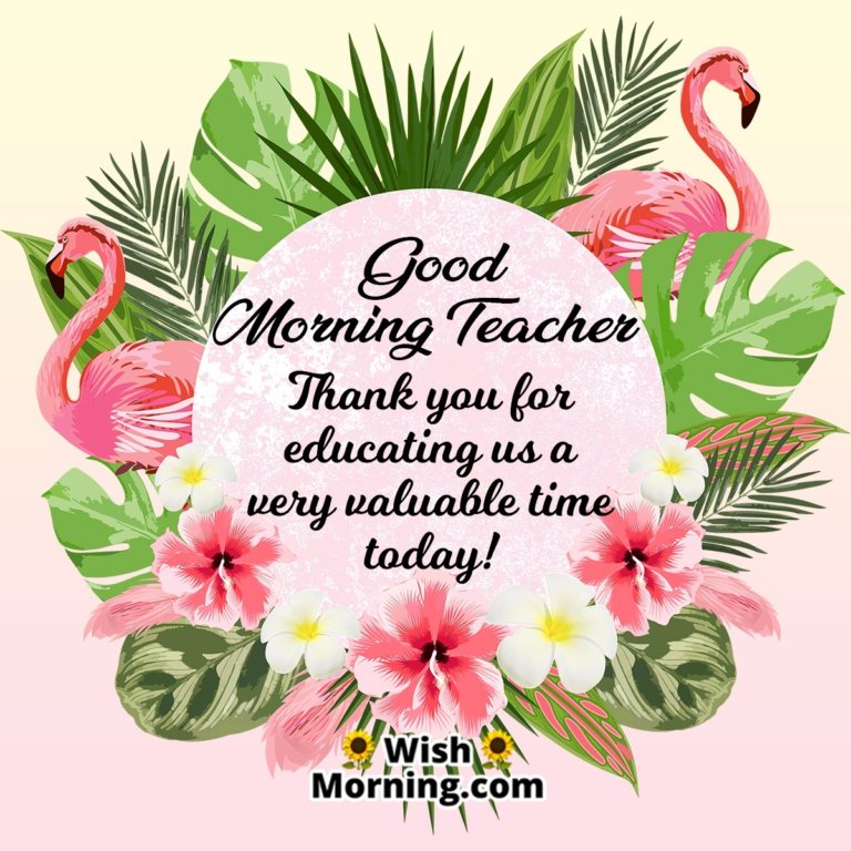 Good Morning Wishes for Teacher to Inspire and Motivate - Wish Morning