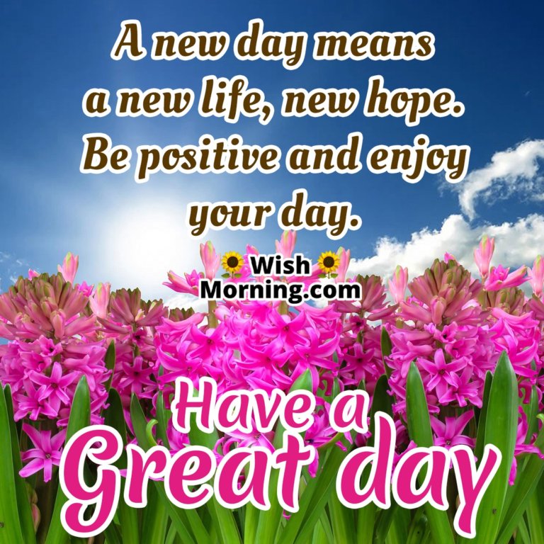 Great Day Wishes for Joy and Positivity in Every Moment - Wish Morning
