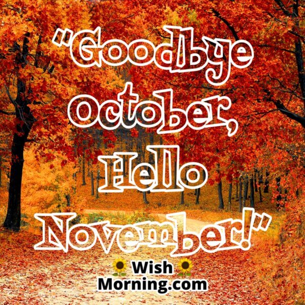 November Month Wishes and Quotes to Spread Joy and Positivity - Wish ...