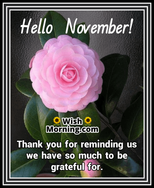 November Month Wishes and Quotes to Spread Joy and Positivity - Wish ...