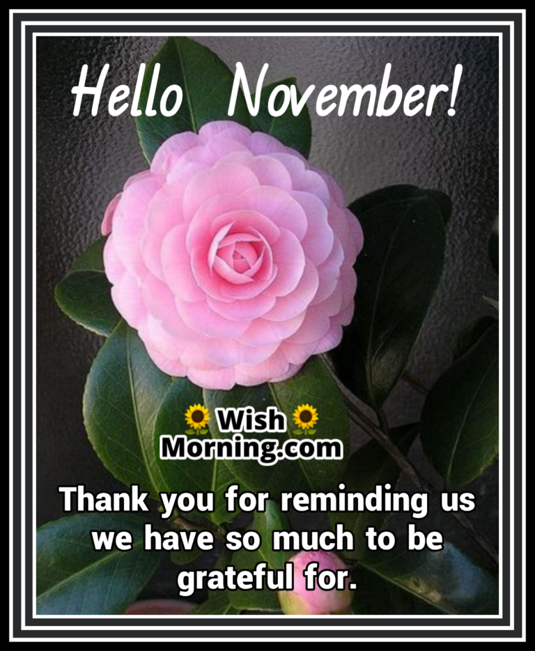 November Month Wishes and Quotes to Spread Joy and Positivity - Wish ...