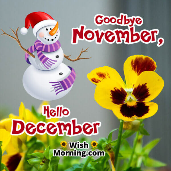 December Month Wishes and Quotes for Joy and Blessings - Wish Morning