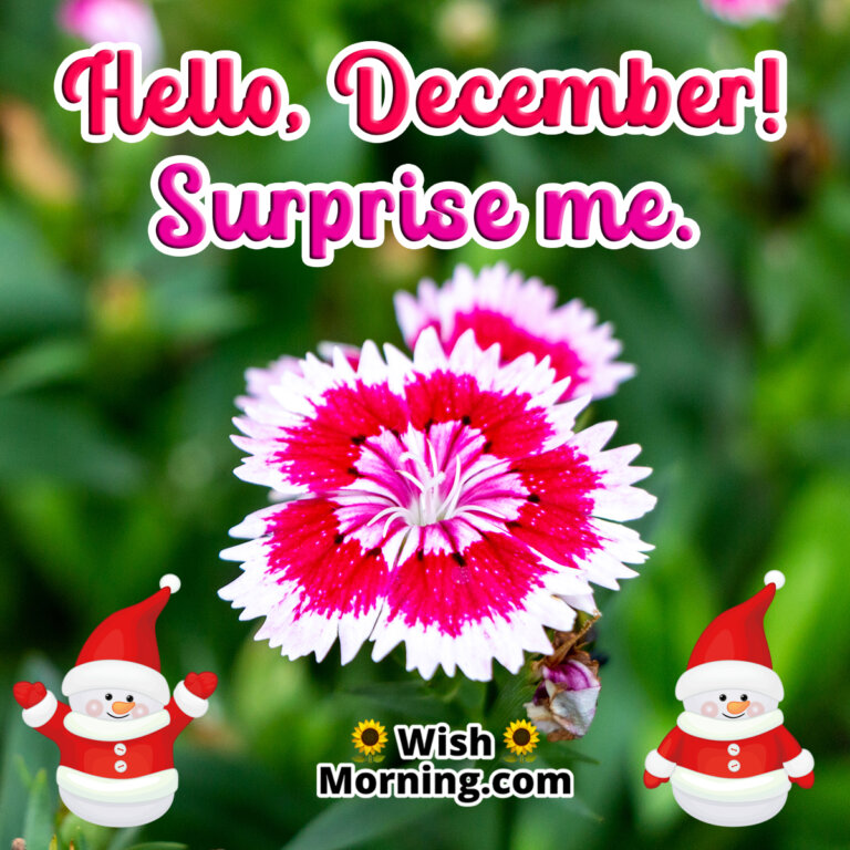December Month Wishes and Quotes for Joy and Blessings - Wish Morning