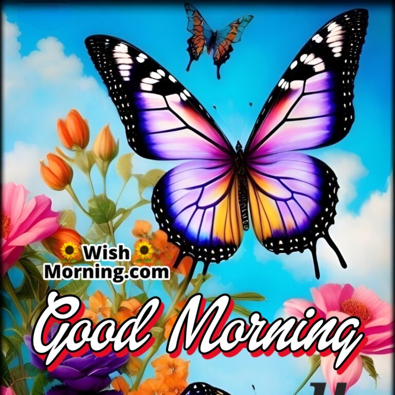Good Morning Butterfly Beautiful Images for Bright Start - Wish Morning