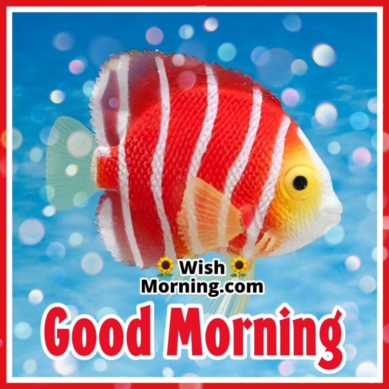 Good Morning Fish Images for a Cheerful Start to the Day - Wish Morning
