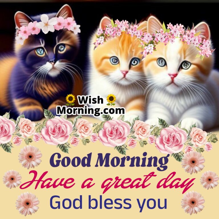 Good Morning Cat Images to Brighten Your Day - Wish Morning
