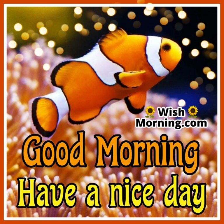 Good Morning Fish Images for a Cheerful Start to the Day - Wish Morning