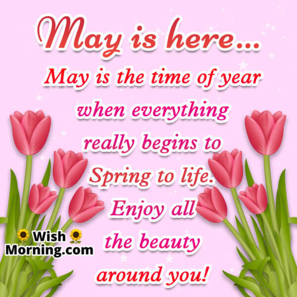 May Month Wishes and Quotes to Embrace Joy and Growth - Wish Morning