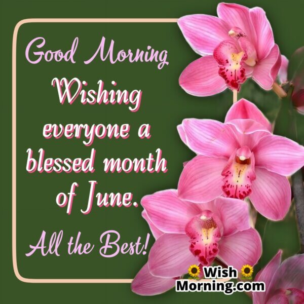 June Month Wishes and Quotes to Welcome Joy and Warmth - Wish Morning