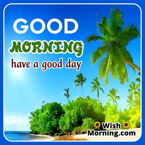 Good Morning Nature Images to Start the Day with Peace - Wish Morning