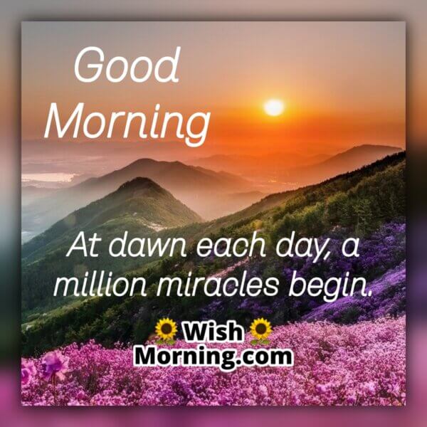 Good Morning Nature Images to Start the Day with Peace - Wish Morning