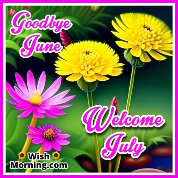 July Month Wishes and Quotes for Growth and New Beginnings - Wish Morning