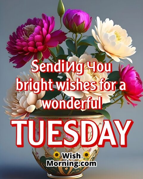Tuesday Morning Wishes to Brighten Your Day with Positivity - Wish Morning