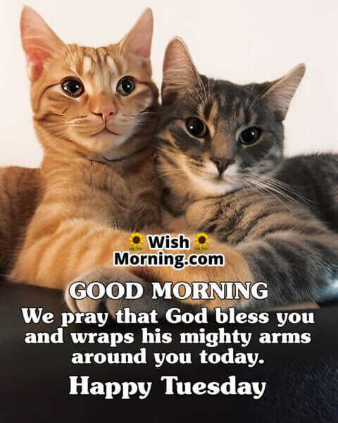 Tuesday Morning Wishes to Brighten Your Day with Positivity - Wish Morning