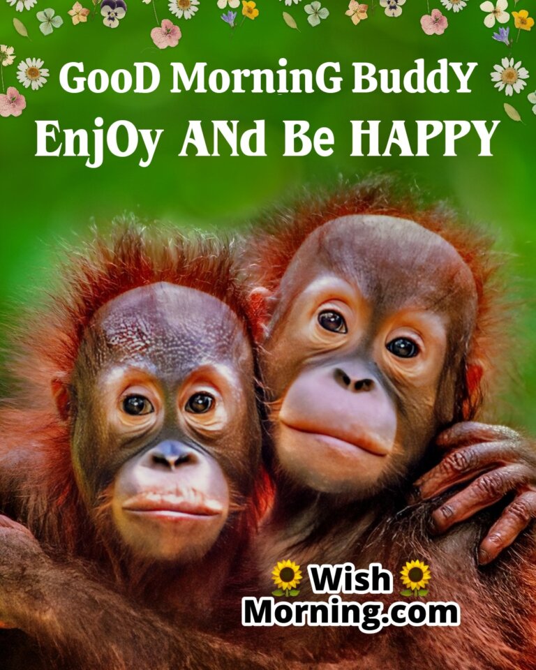 Good Morning Friends Images to Brighten Your Friendship - Wish Morning