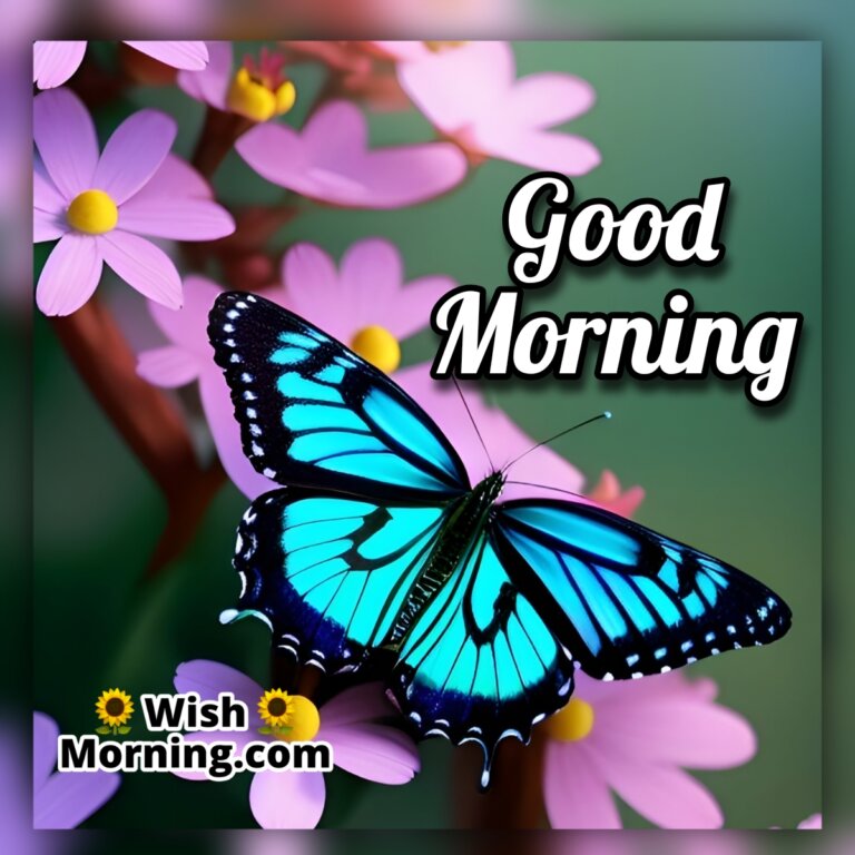 Good Morning Butterfly Beautiful Images for Bright Start - Wish Morning