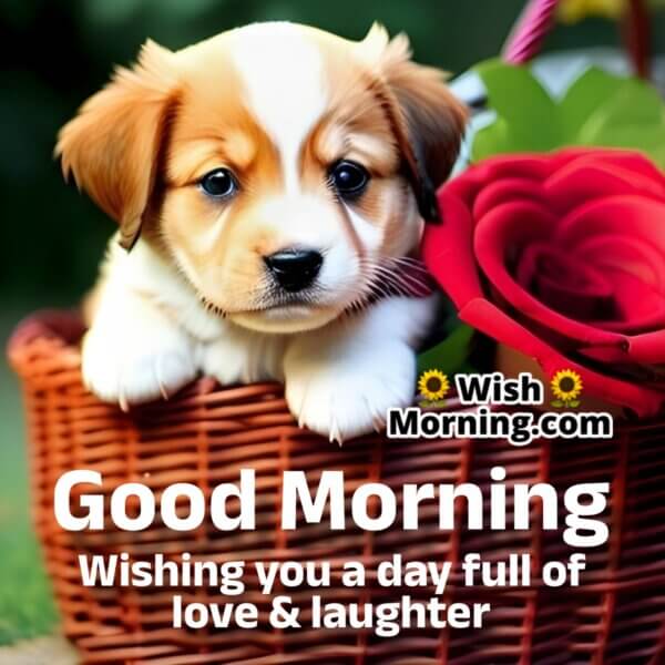 Good Morning Dog Images for a Joyful Start - Wish Morning