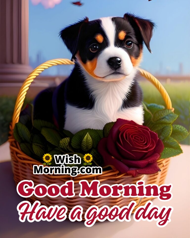 Good Morning Dog Images for a Joyful Start - Wish Morning