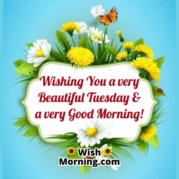 Tuesday Morning Wishes to Brighten Your Day with Positivity - Wish Morning