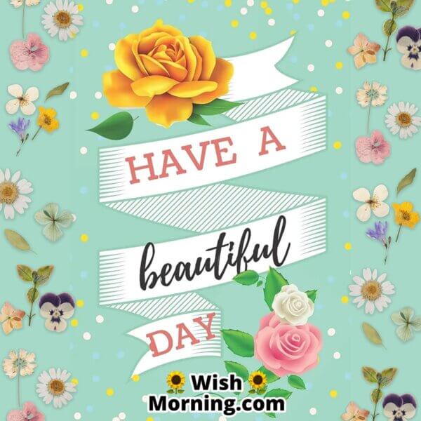 Beautiful Day Images to Spread Smiles and Positivity - Wish Morning