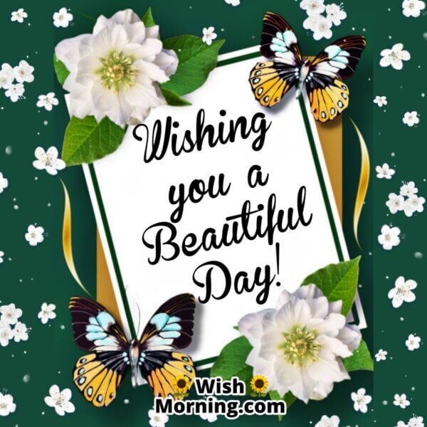 Beautiful Day Images to Spread Smiles and Positivity - Wish Morning