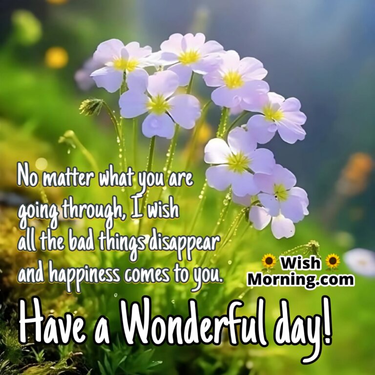Great Day Wishes for Joy and Positivity in Every Moment - Wish Morning