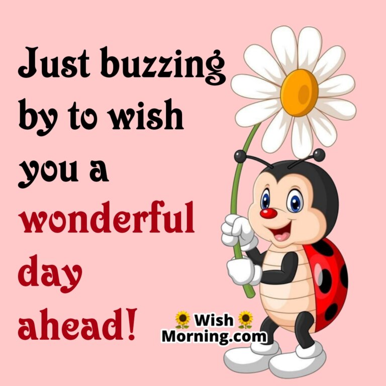 Wonderful Day Greetings to Embrace Joy and Positivity - Wish Morning