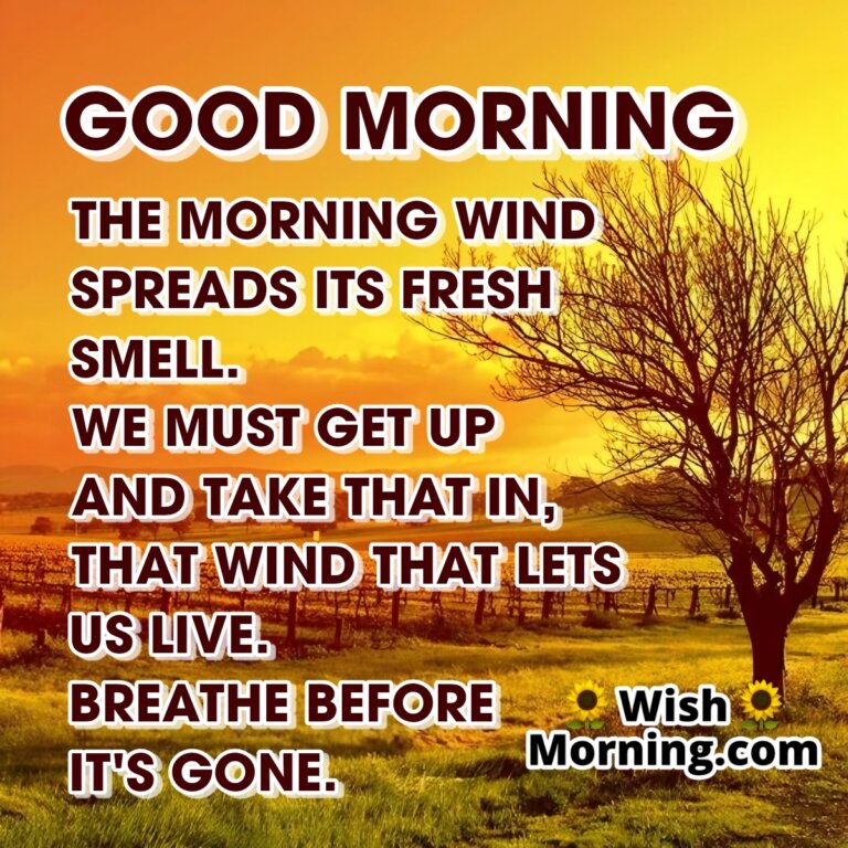 Good Morning Rumi Quotes for Wisdom and Inspiration - Wish Morning