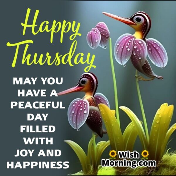 Thursday Morning Wishes To Start Your Day with Positivity - Wish Morning