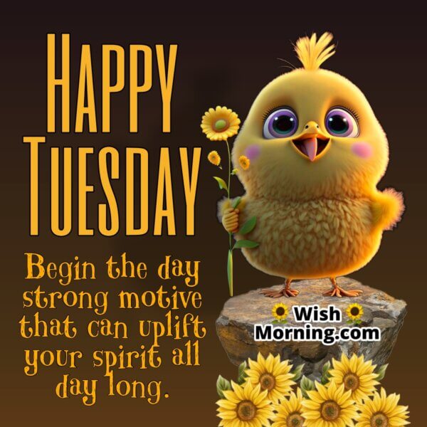 Tuesday Morning Wishes to Brighten Your Day with Positivity - Wish Morning