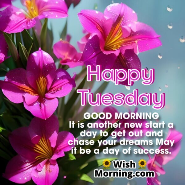 Tuesday Morning Wishes to Brighten Your Day with Positivity - Wish Morning