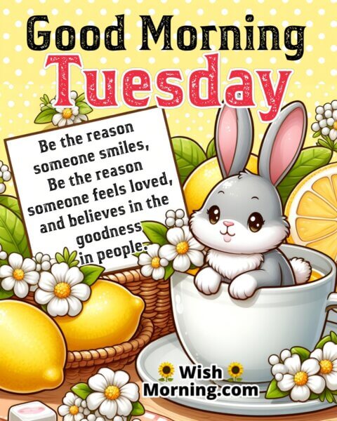 Best Tuesday Morning Quotes & Wishes - Wish Morning