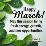 March Month Wishes & Quotes for a Fresh and Bright Start - Wish Morning